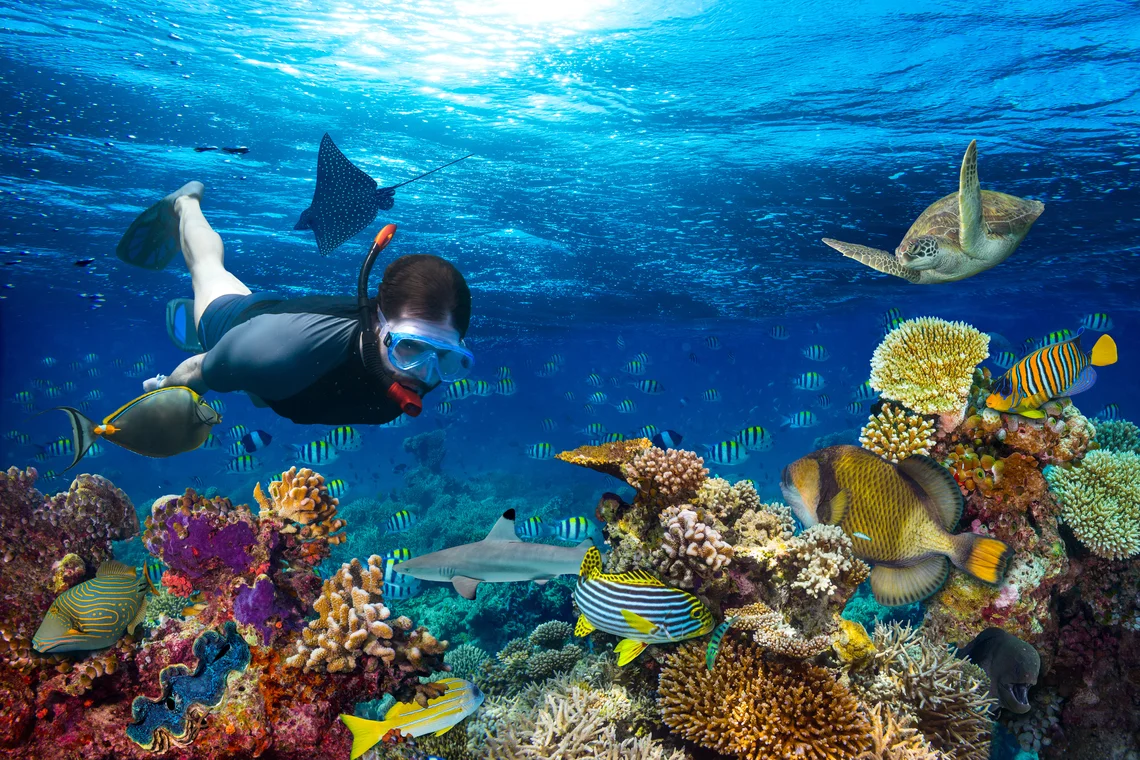BVI scuba diving - British Virgin Villas